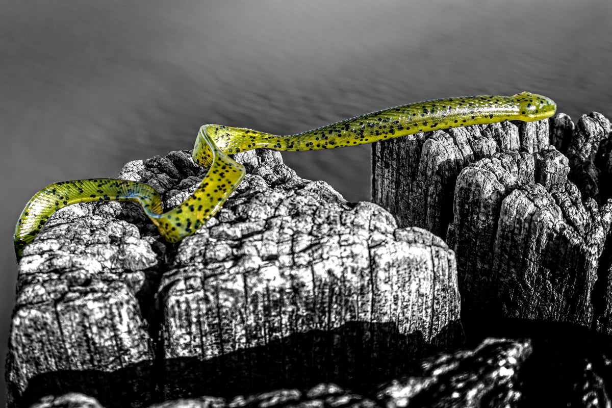 Case Snake – Fishing Complete Inc